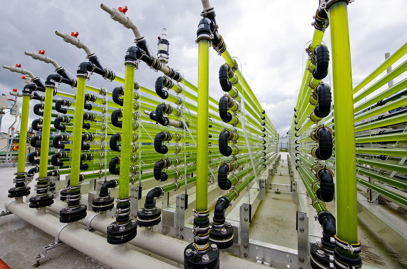 Europe's 'best-kept secret' - its booming bioeconomy